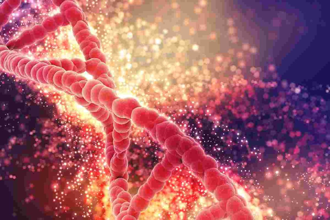 DNA: cos'è e come funziona - Salute Dintorni